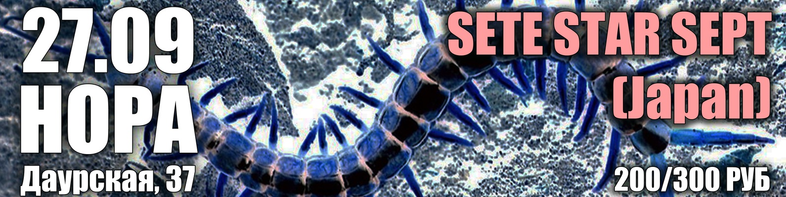 SETE STAR SEPT (Japan) 27.09 | НОРА | SETE STAR SEPT (Япония) Nutscore ...