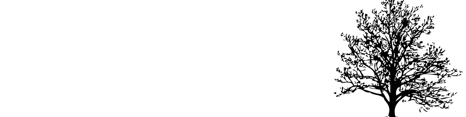 Xamon Show | YOUTYBE 2025 | ВКонтакте